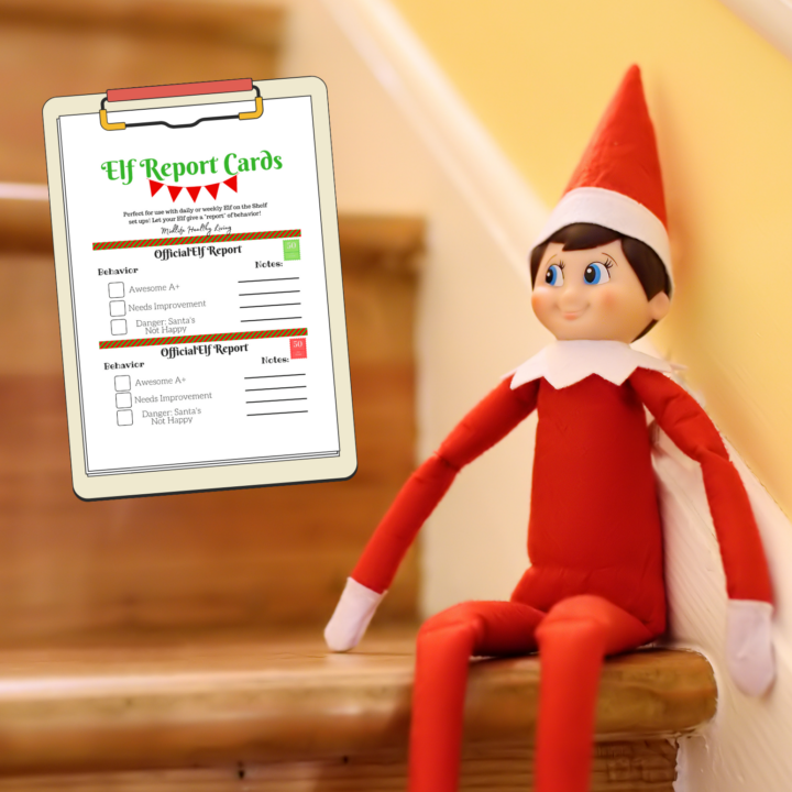 25 Naughty Elf on the Shelf Ideas