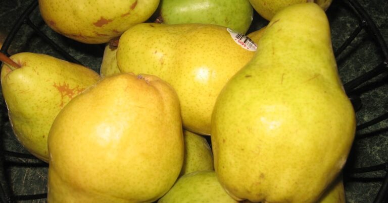 100+ Amazing Crock Pot Recipes