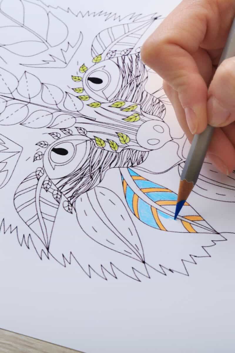 19 Animal Coloring Pages for Adults